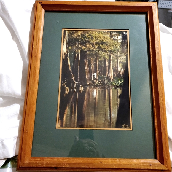 Handmade | Art | Art Photograph Louisiana Cypress Trees In Reflection ...